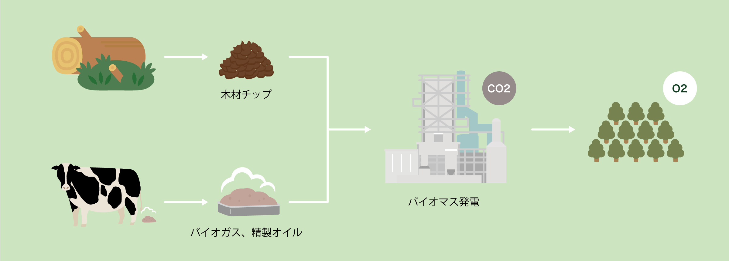 バイオマス – DAYA SYNERGY BORNEO CO., LTD.
